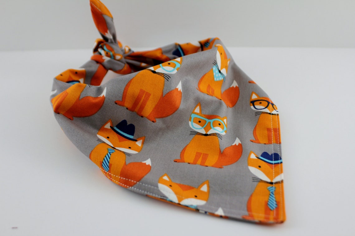 Smart Fox Bandana, Pet Bandana, Gray Bandana, Fox Dog Bandana, Orange ...