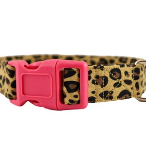 Cheetah Collar, Animal Print Dog Collar, Brown Collar, Sassy Dog Collar ...
