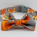 Smart Fox Collar Fox Dog Collar Gray Collar Boy Collar - Etsy