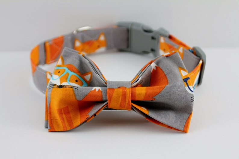 Smart Fox Collar, Fox Dog Collar, Gray Collar, Boy Collar, Custom ...