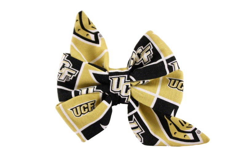 UCF Knights Sassy Bow, Girly Collar Bow, Collar Upgrade, Collar Bow ...
