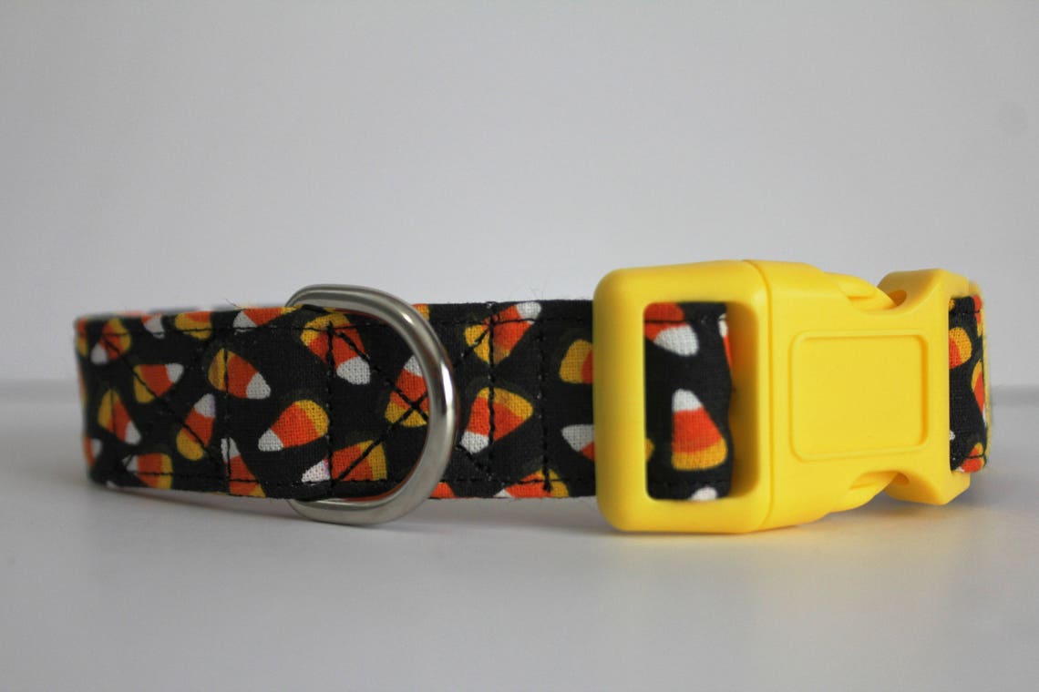 Candy Corn Collar Halloween Dog Collar Trick or Treat - Etsy