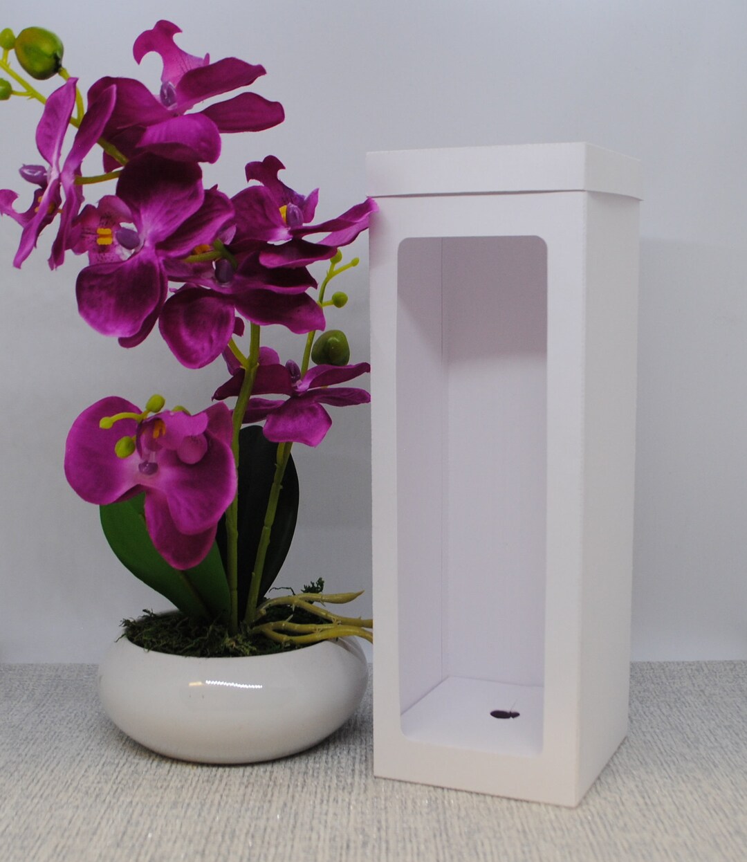 Champagne Flute Gift Box Holder Great for All Champagne - Etsy UK