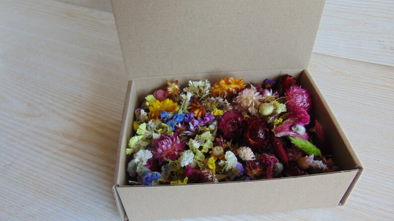 Mixed Dried Flowerssmall Dried Flowers for Craft Projects - Etsy