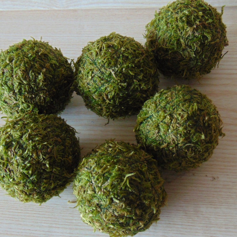 Moss Balls - Etsy