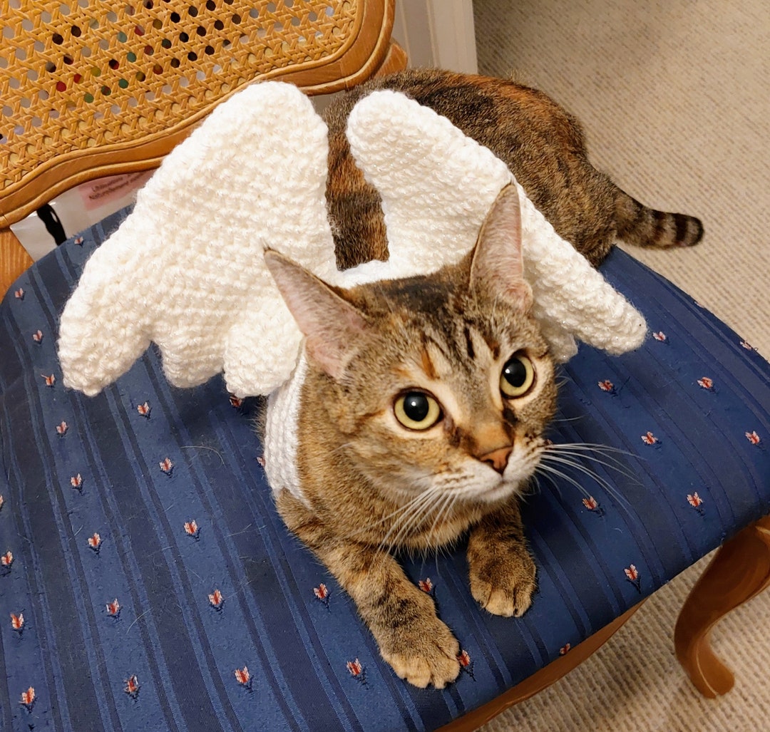 Wings for Your Cat - Etsy
