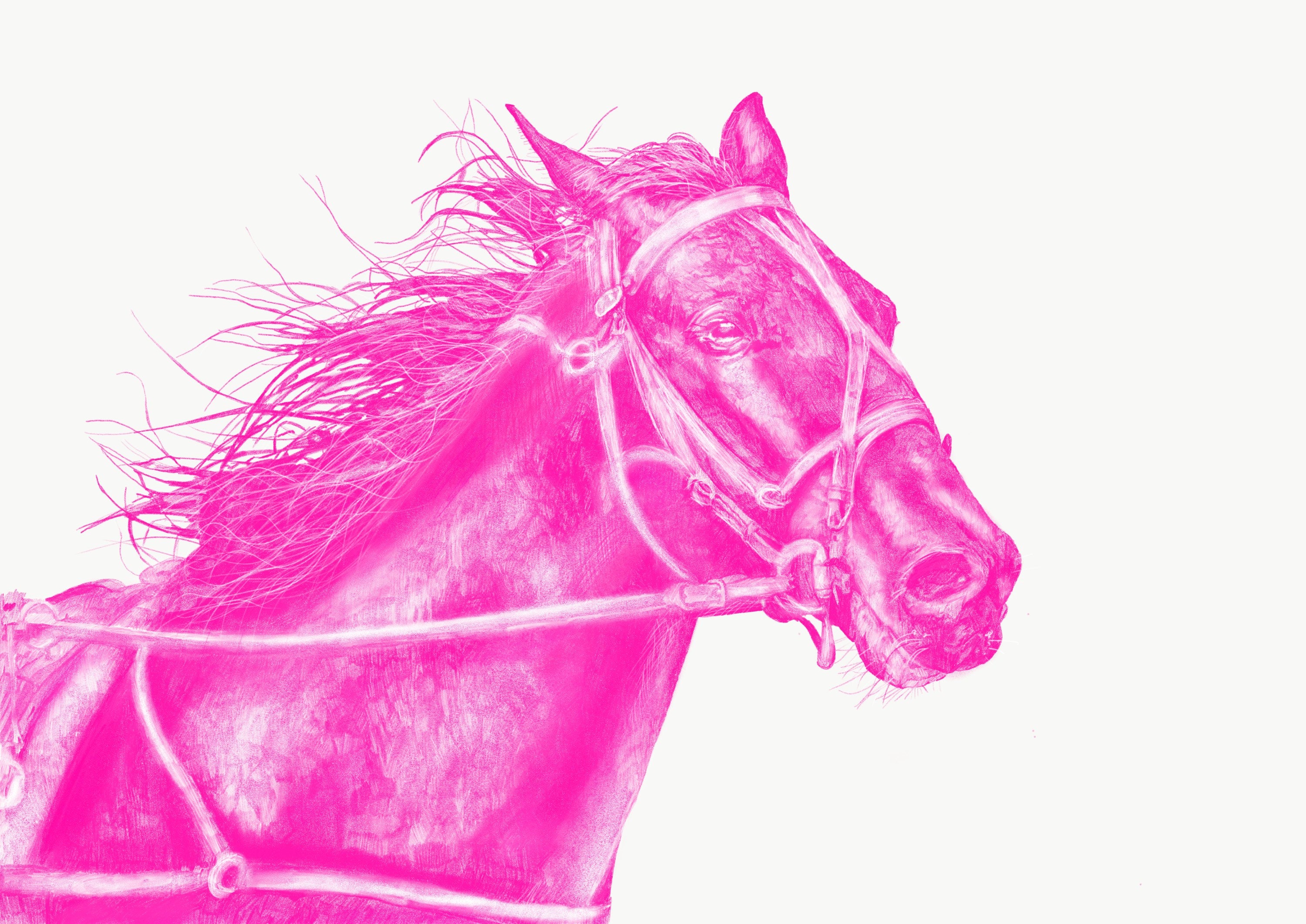 Pink Race Horse - Etsy