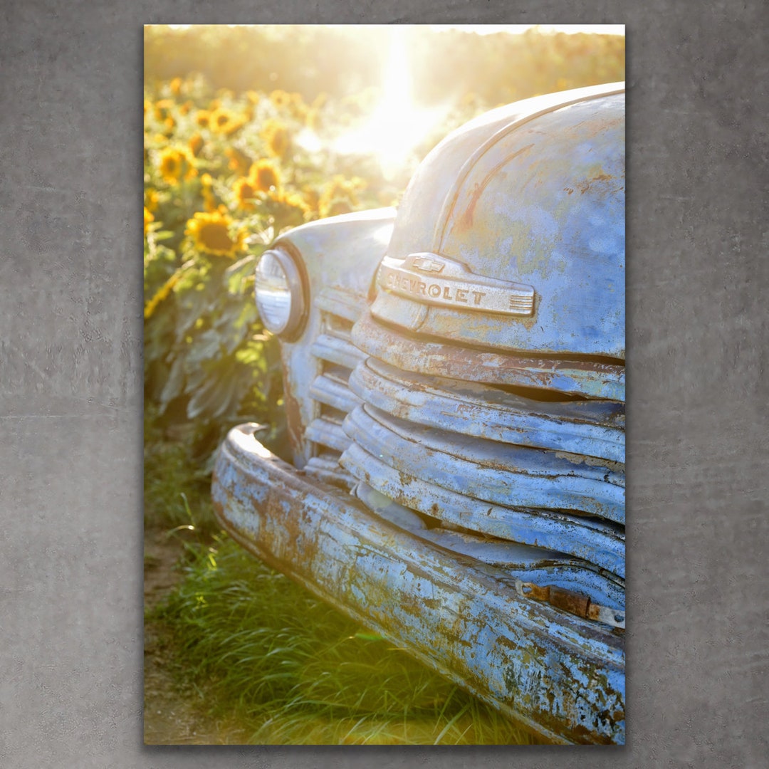 Antique Chevy Truck Photograph: Sunflower Field Farmhouse Wall Art - Etsy