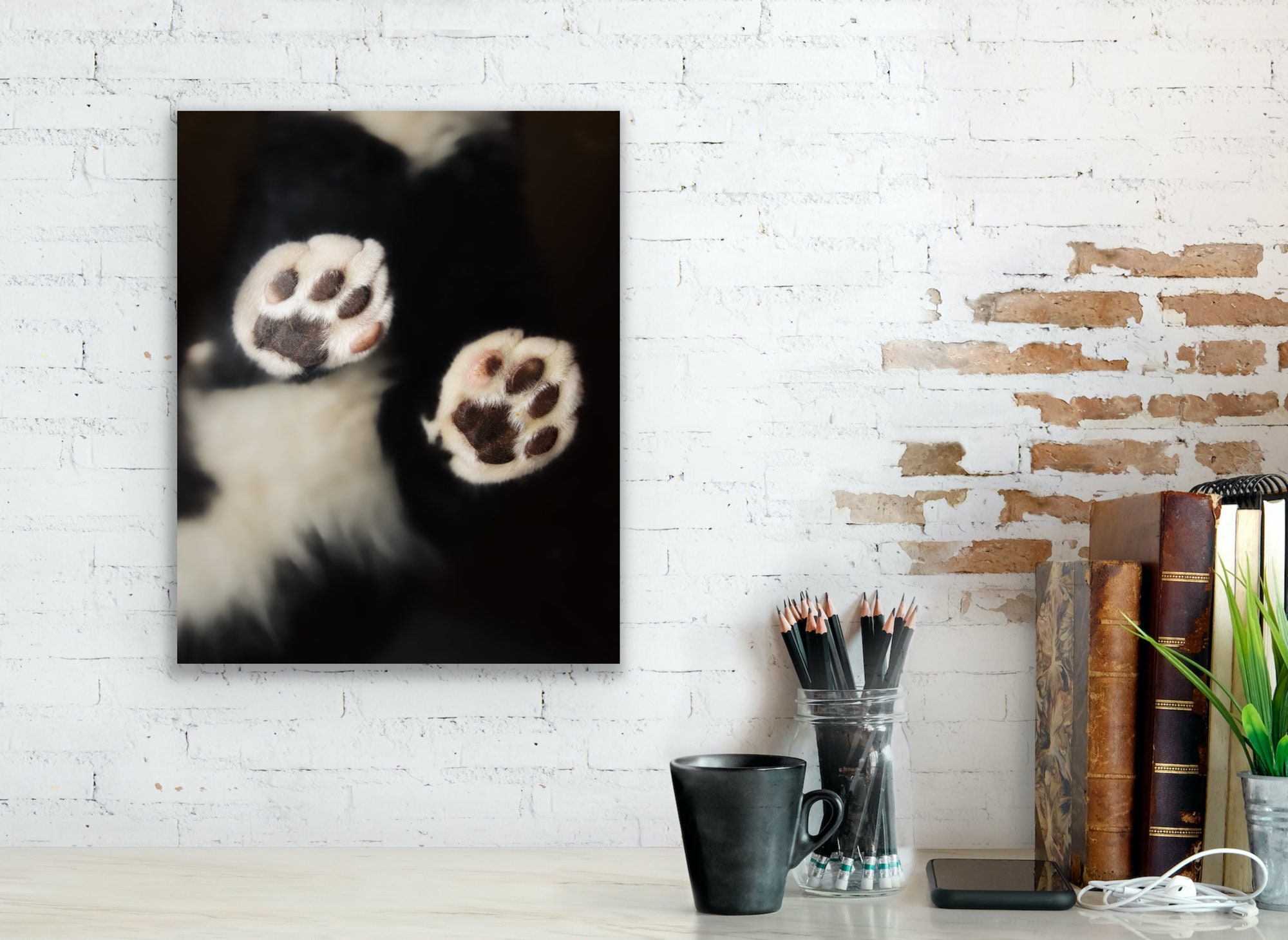 Kitty Cat Paw Print Photograph Metal Wall Art, Perfect for Animal ...