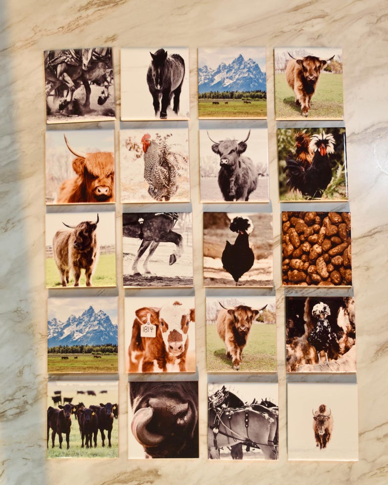 Custom Farm and Animal Photo Ceramic Coasters: Set of 4 and Individual ...