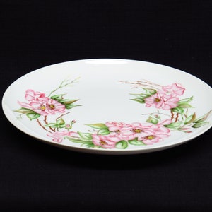 Gorgeous Large Artisan Hand Painted Wild Pink Rose Pattern Plate - Etsy