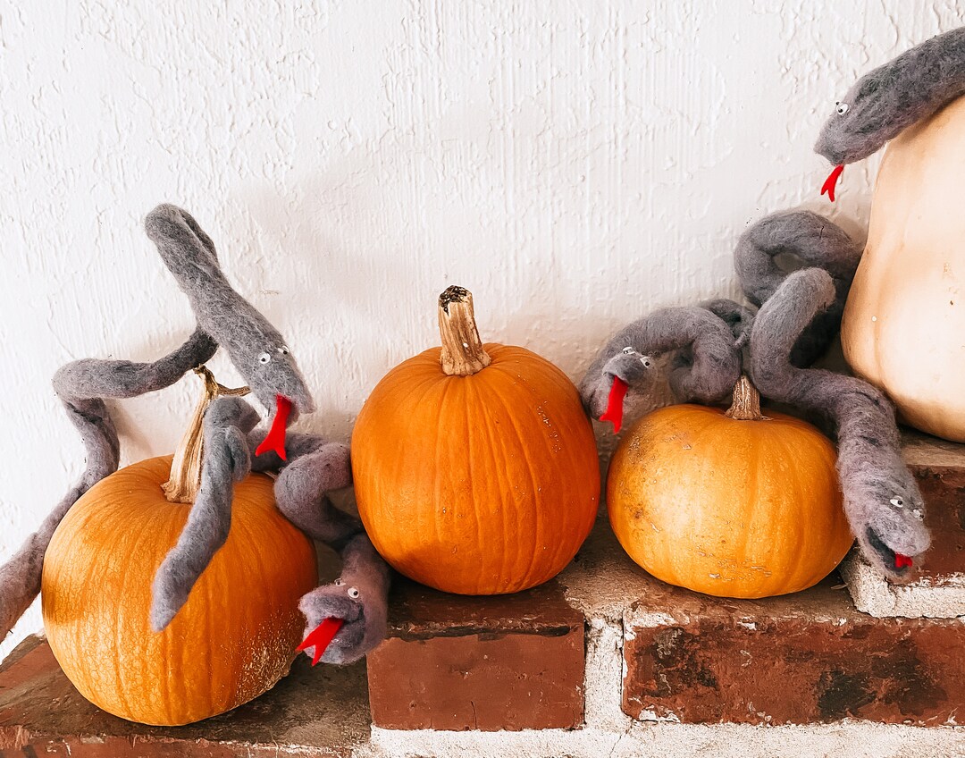 Wet Felt Snake Craft Kit - Etsy