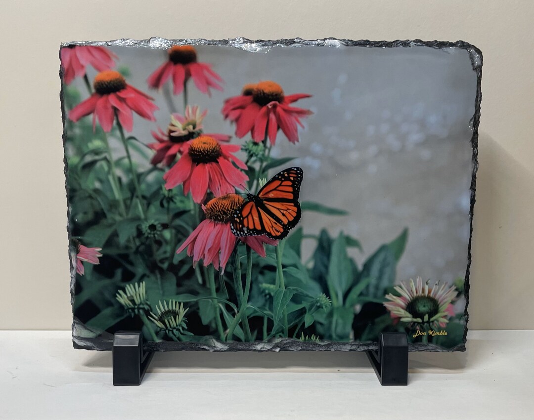 Monarch Butterfly - Photo on Slate - Etsy