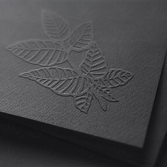 Vector Set of Flowers SVG and DXF Cut Files for Vinyl Cutters, Screen ...