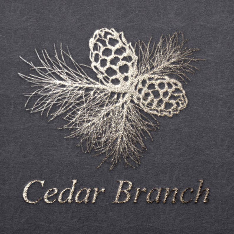 Vector Cedar Branch SVG and DXF Cut Files for Vinyl Cutters, Screen ...