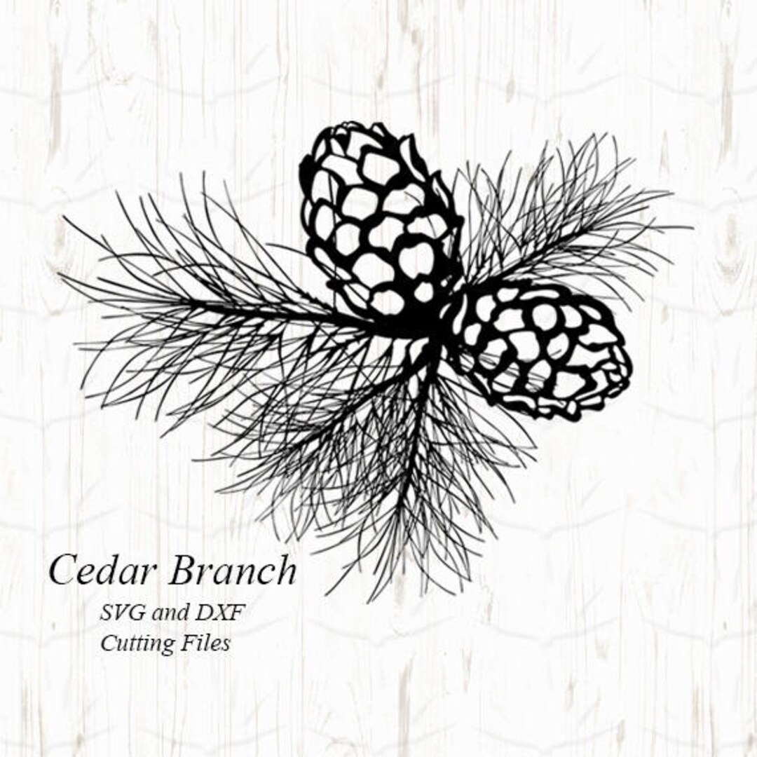 Vector Cedar Branch SVG and DXF Cut Files for Vinyl Cutters, Screen ...