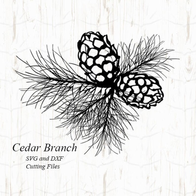 Vector Cedar Branch SVG and DXF Cut Files for Vinyl Cutters, Screen ...