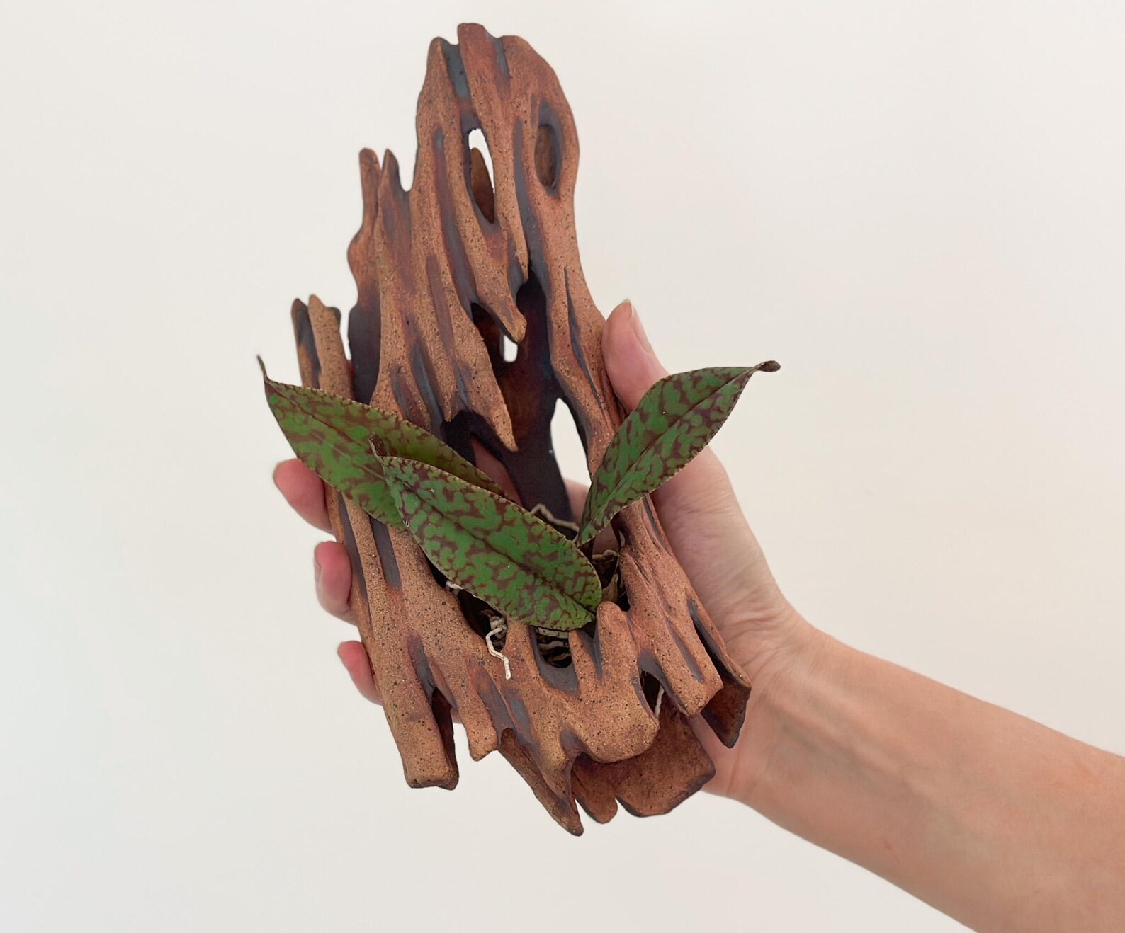 Ceramic Orchid Mount – Wood-texture Hanging Planter, Handmade for ...