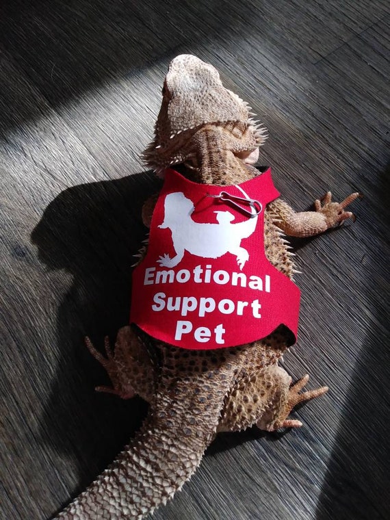 Emotional Support Animals---legit sites - The Chat Board - The Well ...