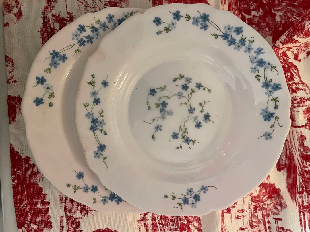 Arc France Arcopal Veronica Blue Flowers - Etsy