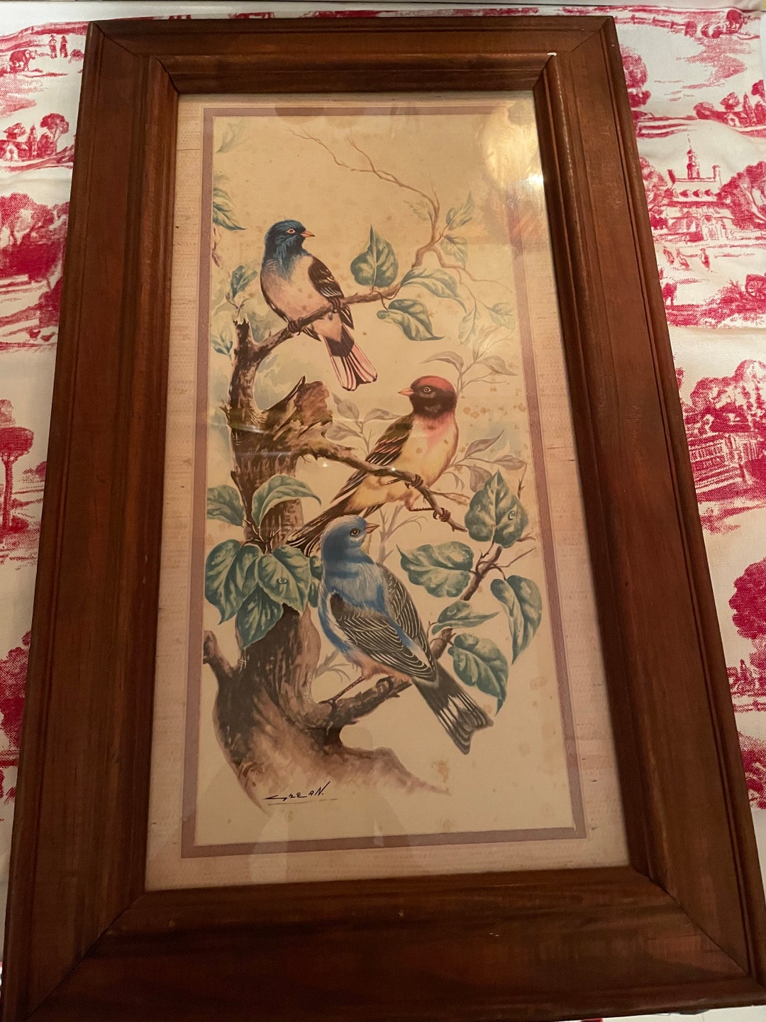 Vintage Blue Bird Print - Etsy