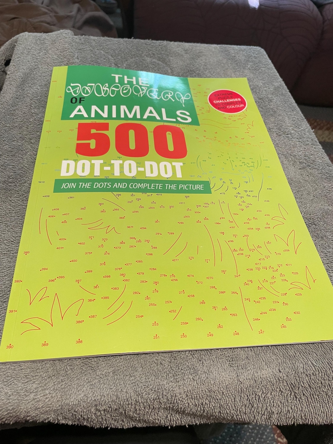 500 Dot to Dot Picture Book - Etsy