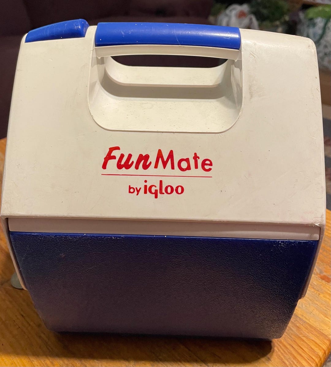 Funmate by Igloo Cooler - Etsy
