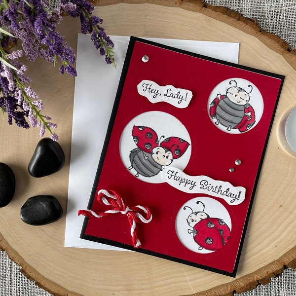Ladybug Birthday - Etsy