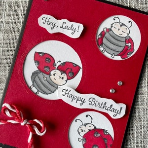 Ladybug Birthday Card, Birthday Cards for Kids, Ladybug Gifts, Handmade ...