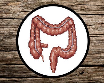 Colon Pattern - Etsy