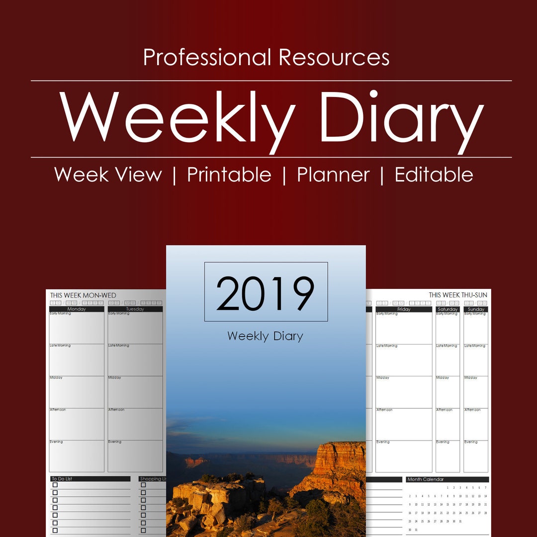 Weekly Diary and Planner | Printable Planner | Editable Diary - Etsy