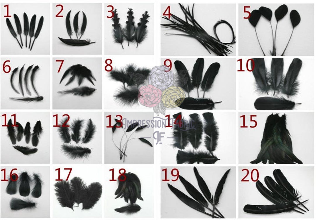 Black Feather, Craft Feathers, Natural Feathers, Real Feathers, Long ...