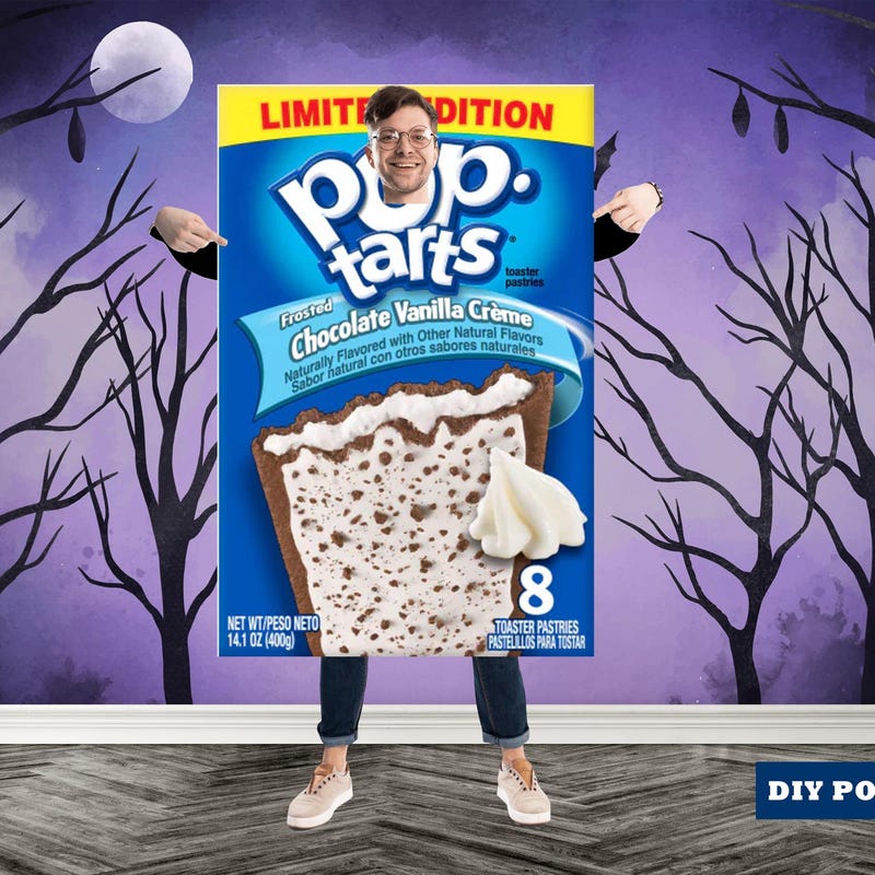Pop Tart Costume - Etsy
