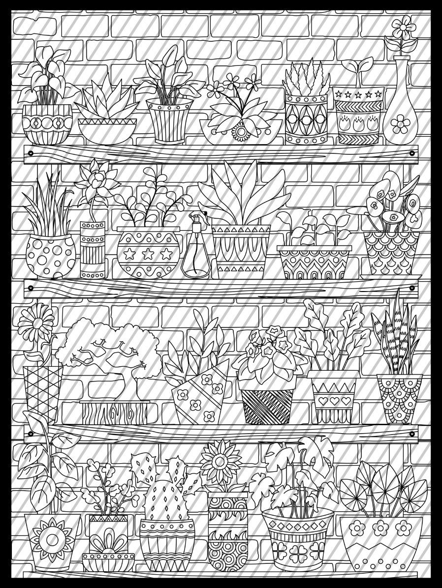 Indoor House Plants Coloring Page Succulents Coloring Sheet - Etsy