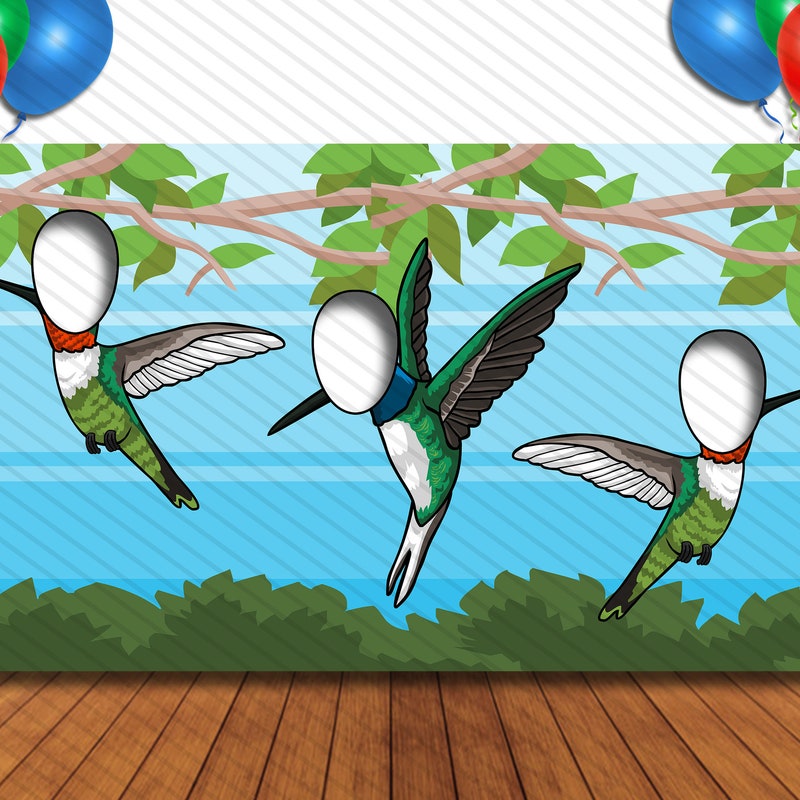 Hummingbird Costume - Etsy