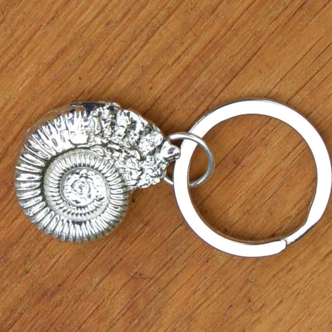 Ammonite Keyring, Fossil Key Fob, Handmade, by William Sturt, in Fine ...