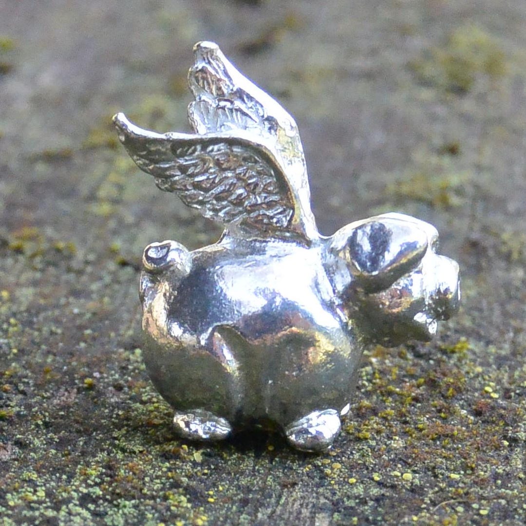 Flying Pig Pet, Handmade, Symbol of New Possibilities, Mythical Flying ...