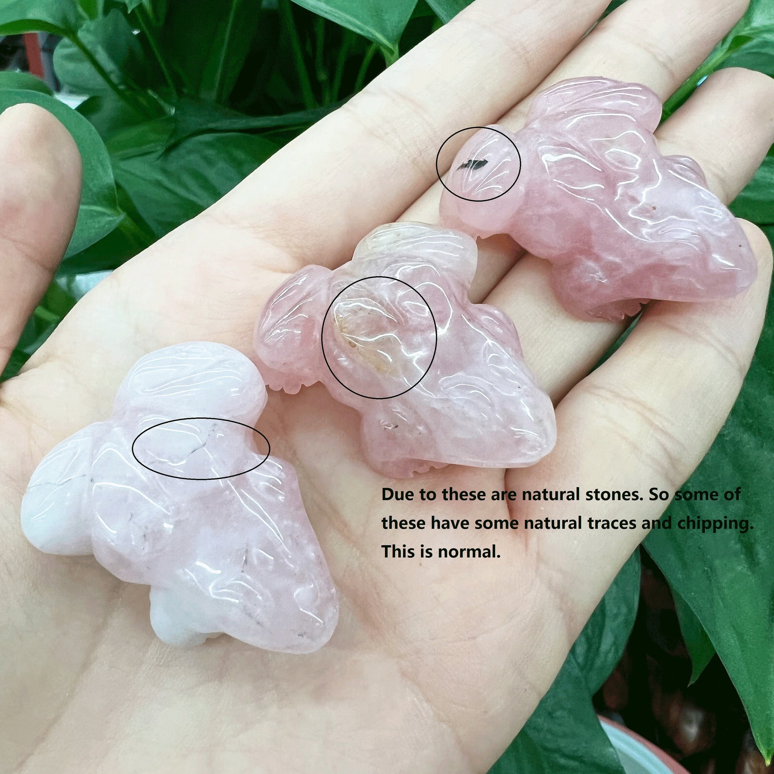 1.5 Crystal Frog Statue Hand Carved Gemstone Figurine - Etsy