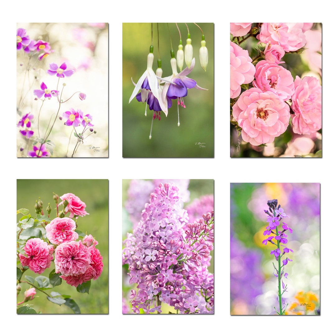 6 Flower Postcards, 6 Flower Photo Cards, Nature Photo, 6 Organic Cards ...