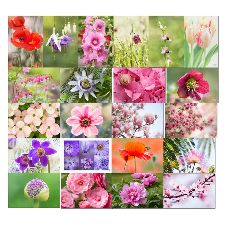 10 Flower and Nature Postcards, Photos of Flowers, Garden, Spring, Set ...