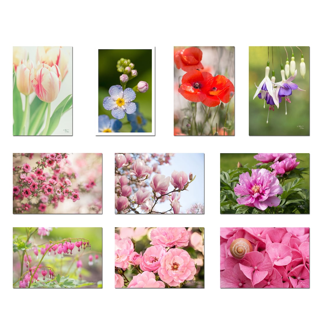 10 Flower and Nature Postcards, Photos of Flowers, Garden, Spring, Set ...