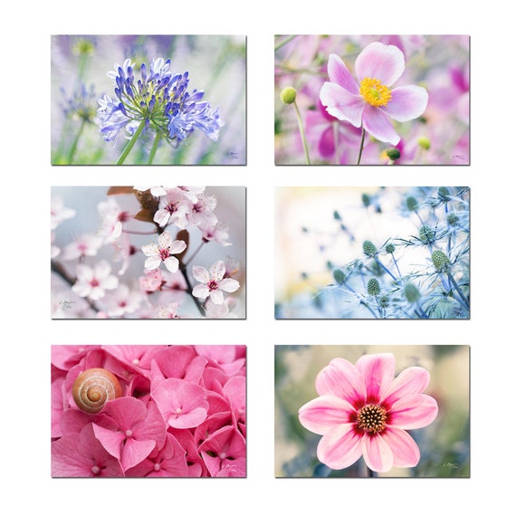 Set of 6 Postcards Photos of Flowers Spring Gardener - Etsy