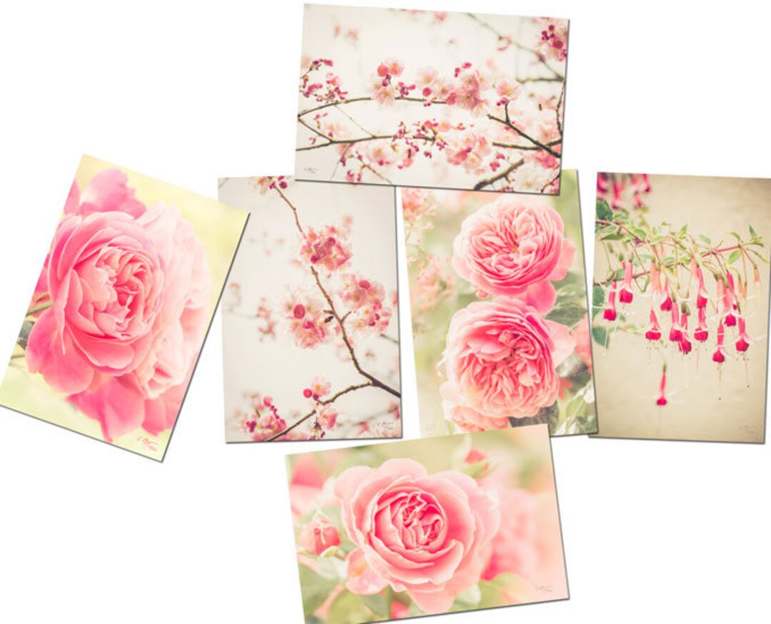 Six Small Photos of Pink Flowers Japanese Cherry Tree Roses - Etsy