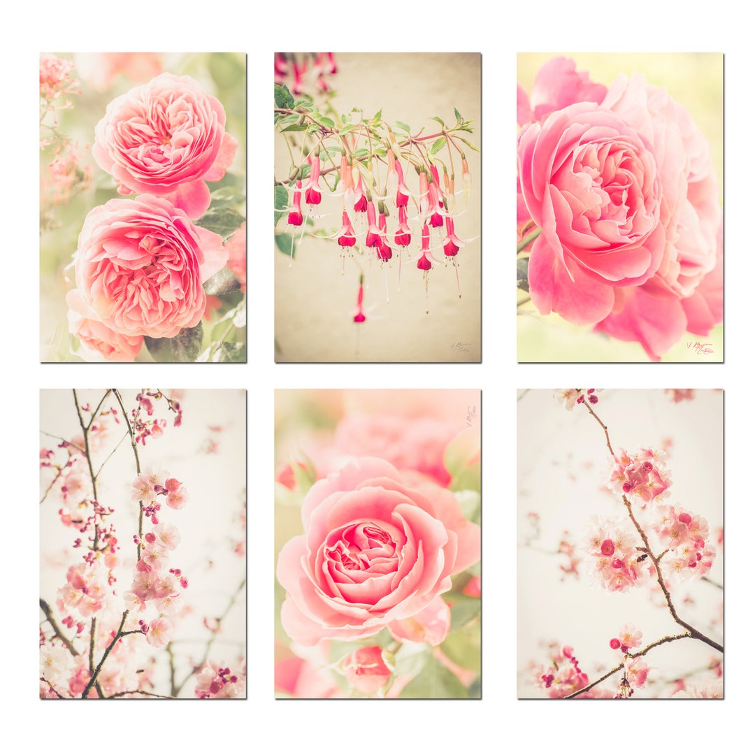 Six Small Photos of Pink Flowers, Japanese Cherry Tree, Roses, Fuchsia ...