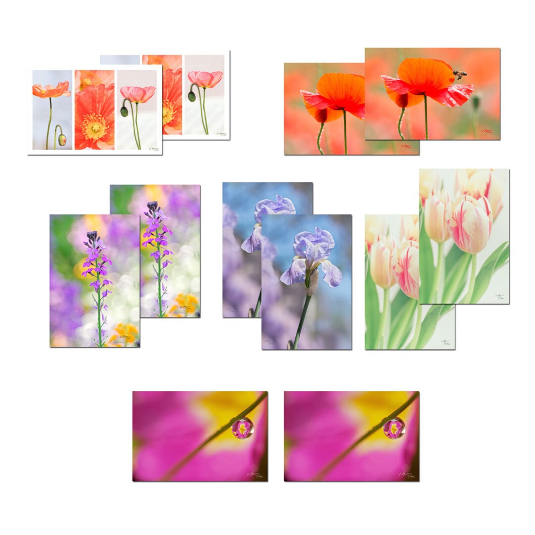 Promotion 12 Flowers Post-cards Set 12 Post-cards Flowers - Etsy