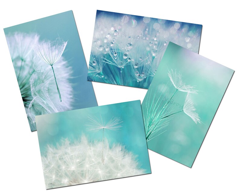 4 Photos Turquoise Green Dandelion Zen Set of Photos of - Etsy