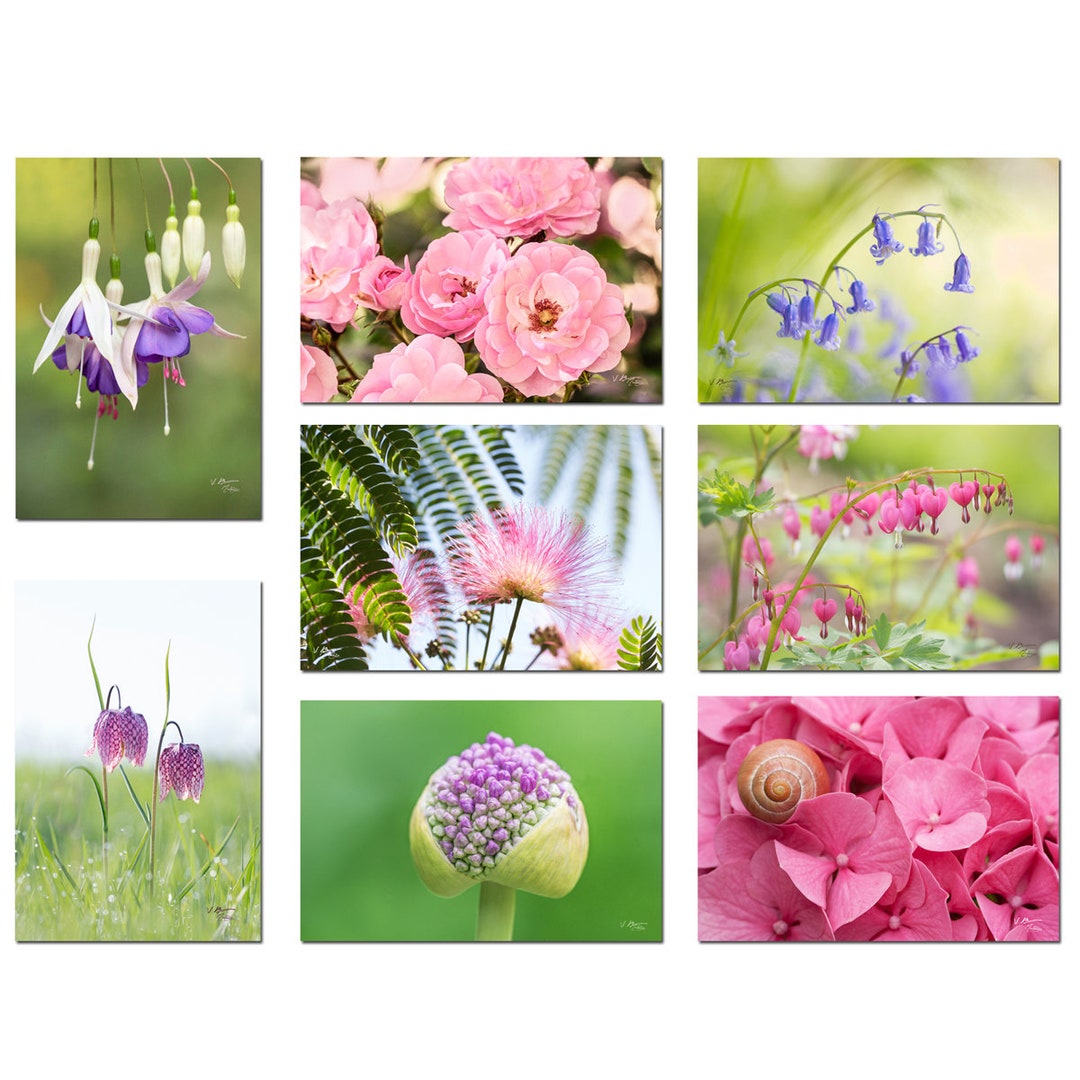 8 Flowers Post-cards, Set 8 Organics Printed Cards, Nature Photos ...