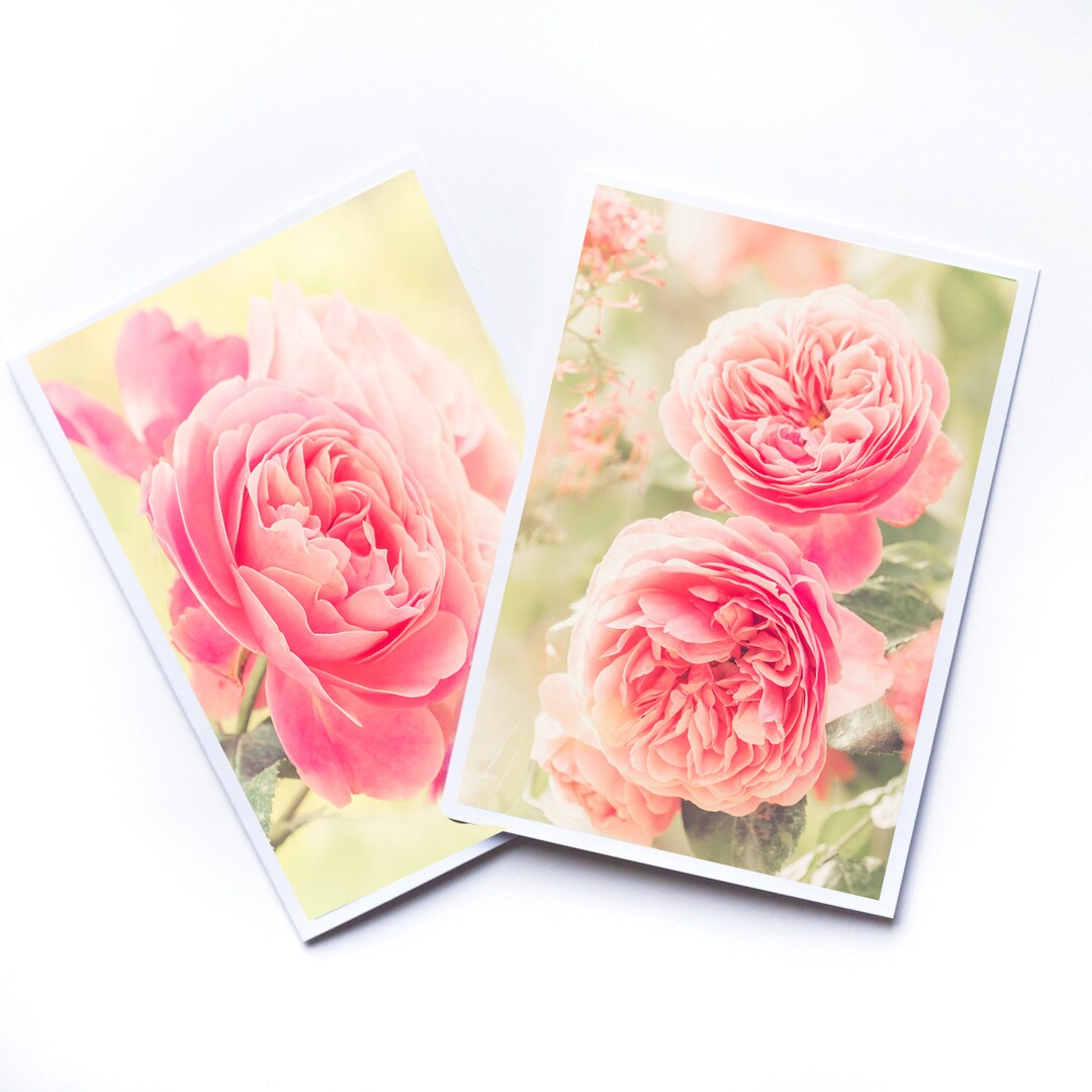 2 Romantic Pink Flower Cards, Flower Postcards, Photo of Small Romantic ...