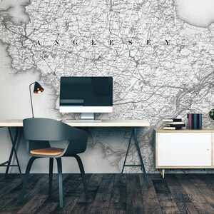 Custom Map Wallpaper - Bespoke Historical Map Wallpaper Mural of Any ...