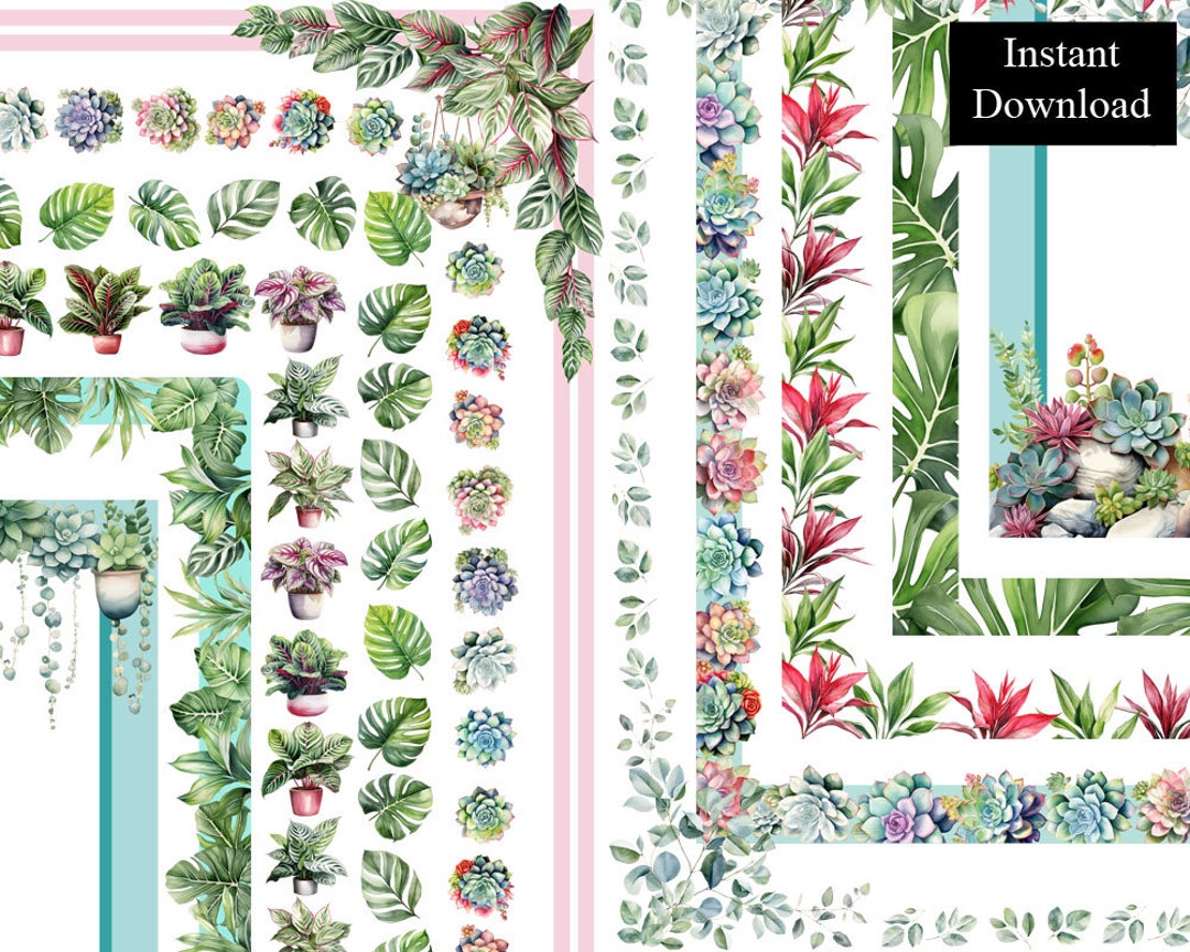 Succulents Watercolour Borders Plants Leaves Frames Botanical Frame ...